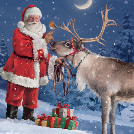 Santa with reindeer store